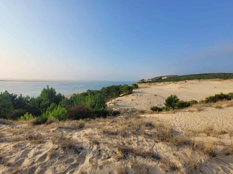 From Biarritz: Dune du Pilat and Arcachon Bay - 100% Private - How the experience shapes up