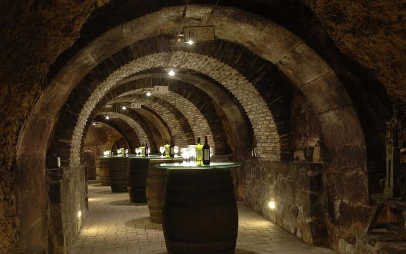 From Bilbao: La Rioja Wineries Day Trip with Wine Tastings - What to Expect from the Tour