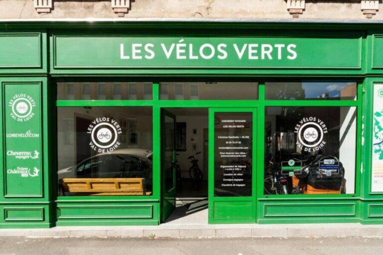From Blois: Chaumont-sur-Loire, Nature, Wine And History - What to Expect and Why It Matters