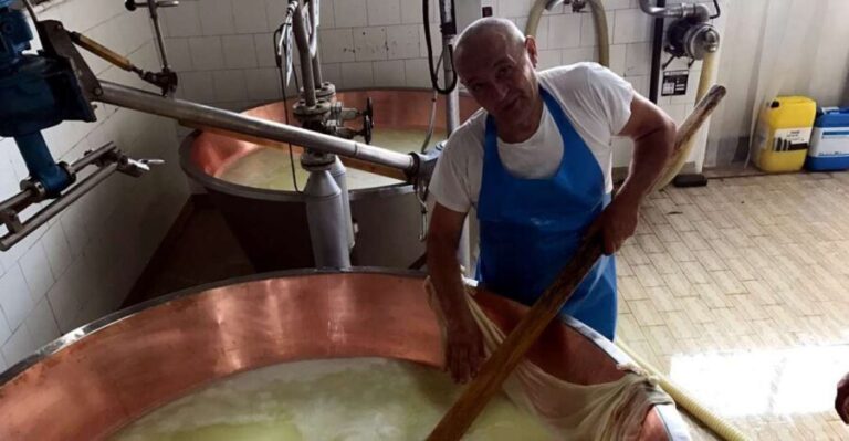 From Bologna: Emilia Excellence Food Tour - What’s Included and Practical Tips