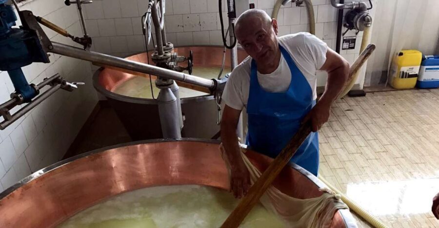 From Bologna: Emilia Excellence Food Tour - What’s Included and Practical Tips