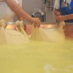 From Bologna or Modena: Parma Gastronomic Tour with Lunch - What Makes This Tour Stand Out