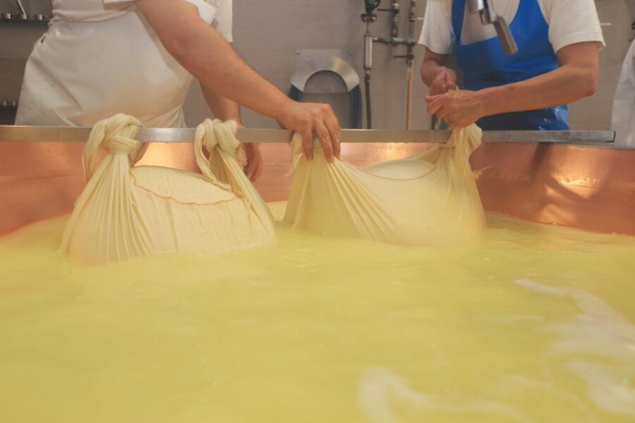 From Bologna or Modena: Parma Gastronomic Tour with Lunch - What Makes This Tour Stand Out