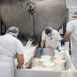 From Bologna: Parma Cheese & Ham Factory Tours and Tastings - A Closer Look at Parmigiano Reggiano and Its Production