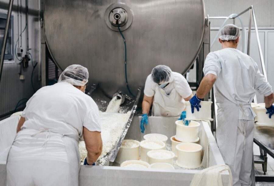 From Bologna: Parma Cheese & Ham Factory Tours and Tastings - A Closer Look at Parmigiano Reggiano and Its Production