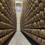 From Bologna: Parmesan Cheese & Balsamic Vinegar Tour+Lunch - Analyzing the Value for Money