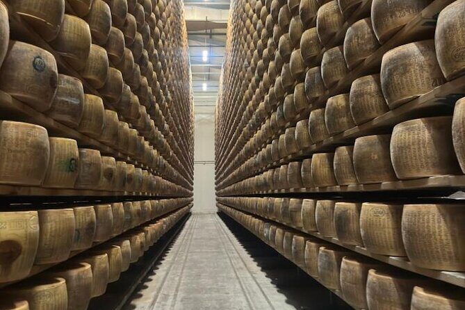 From Bologna: Parmesan Cheese & Balsamic Vinegar Tour+Lunch - Analyzing the Value for Money