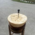 From Bologna: Parmesan, Vinegar, Lambrusco with Transfer - Why You Should Consider This Experience