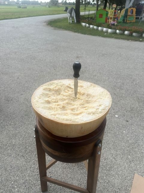 From Bologna: Parmesan, Vinegar, Lambrusco with Transfer - Why You Should Consider This Experience