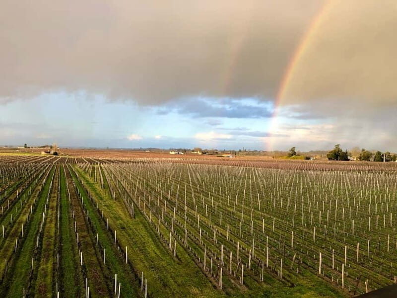From Bordeaux: A day to visit the Medoc and Saint-Emilion - What Makes This Tour Stand Out?
