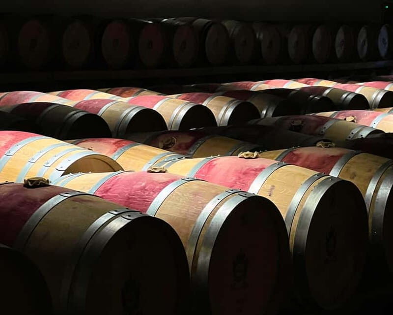 From Bordeaux: Afternoon Wine Tasting in the Medoc Region - Why This Tour Works for Travelers