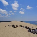 From Bordeaux: Arcachon Bay Afternoon and Seafood - What the Reviews Highlight Most