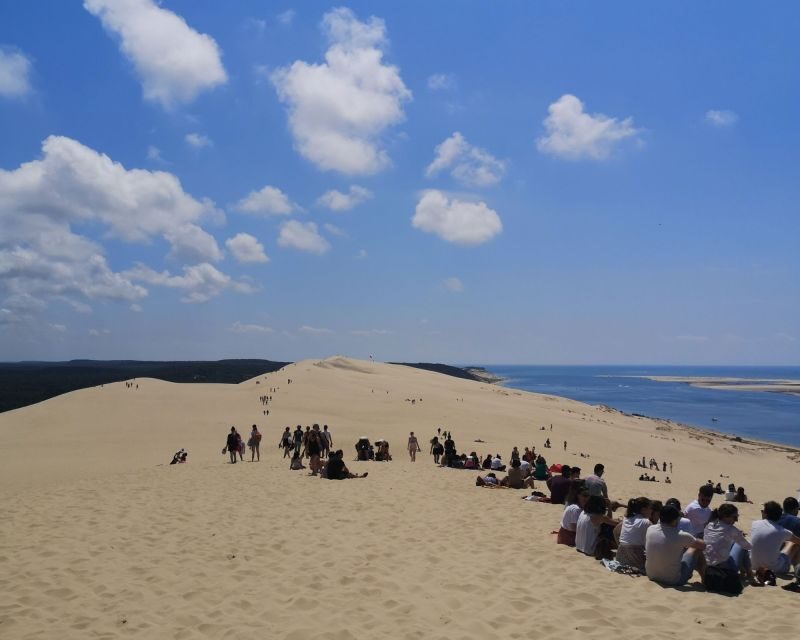 From Bordeaux: Arcachon Bay Afternoon and Seafood - What the Reviews Highlight Most