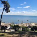 From Bordeaux: Cap Ferret Peninsula Private Tour, Ocean and Oyster Village - How the Tour Balances Value and Experience