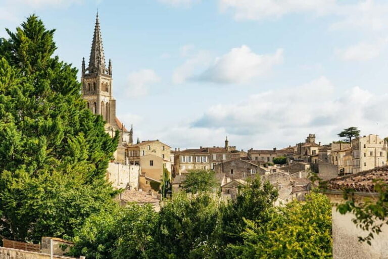 From Bordeaux: Half-Day Saint-Émilion Tour and Wine Tasting - A Deep Dive into the Experience