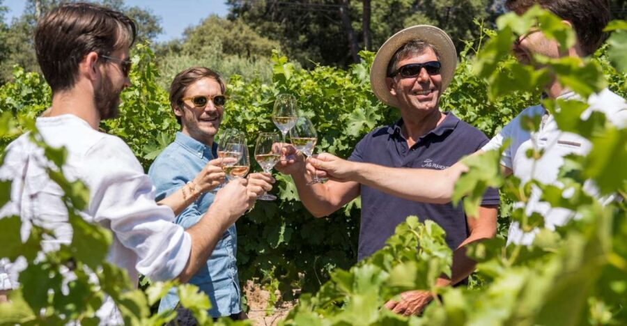 From Bordeaux: Saint-Emilion Day Trip with Lunch and Wine - How the Tour Balances Value and Experience