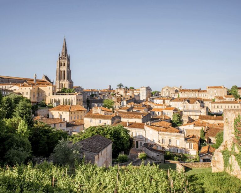 From Bordeaux: Saint-Émilion Half-Day Tour with Wine Tasting - Exploring Saint-Émilion: Medieval Charm and Panoramic Views