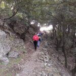 From Bova: Private Trek to Aspromonte National Park - At the Summit: Montalto and Beyond