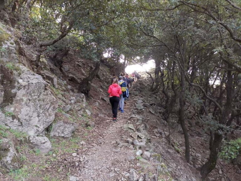 From Bova: Private Trek to Aspromonte National Park - At the Summit: Montalto and Beyond