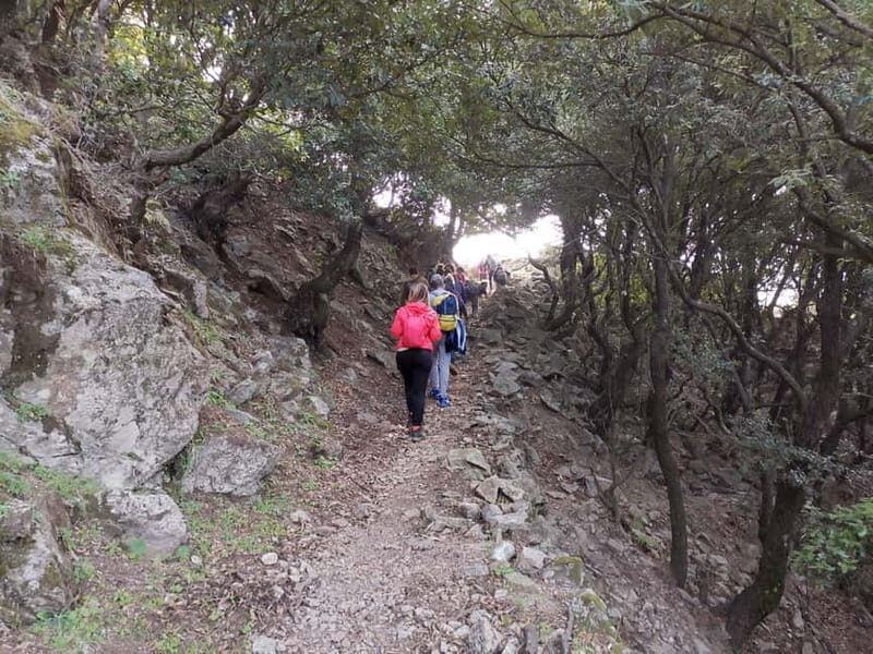 From Bova: Private Trek to Aspromonte National Park - At the Summit: Montalto and Beyond