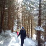 From Brasov: Piatra Craiului National Park Private Day Tour - Final Thoughts