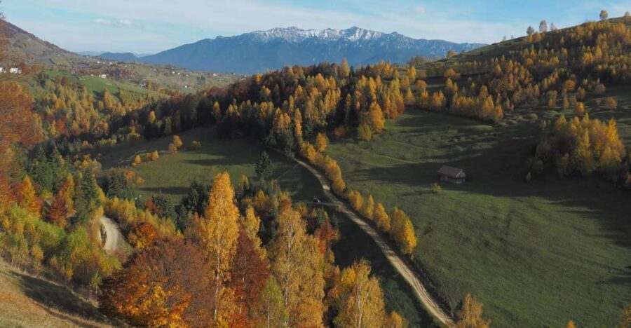 From Brasov: Romanian Mountain Villages Day Tour - The Value of This Tour
