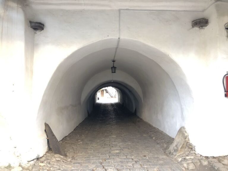 From Brasov: Small-Group Half-Day Fortified Churches Tour - Why This Tour Is a Great Value