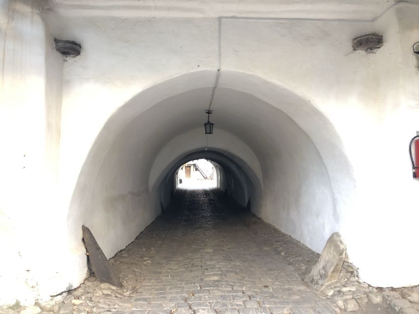 From Brasov: Small-Group Half-Day Fortified Churches Tour - Why This Tour Is a Great Value