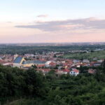 From Bratislava: Organic Wine Tasting in Svaty Jur - Who Will Appreciate This Tour Most?