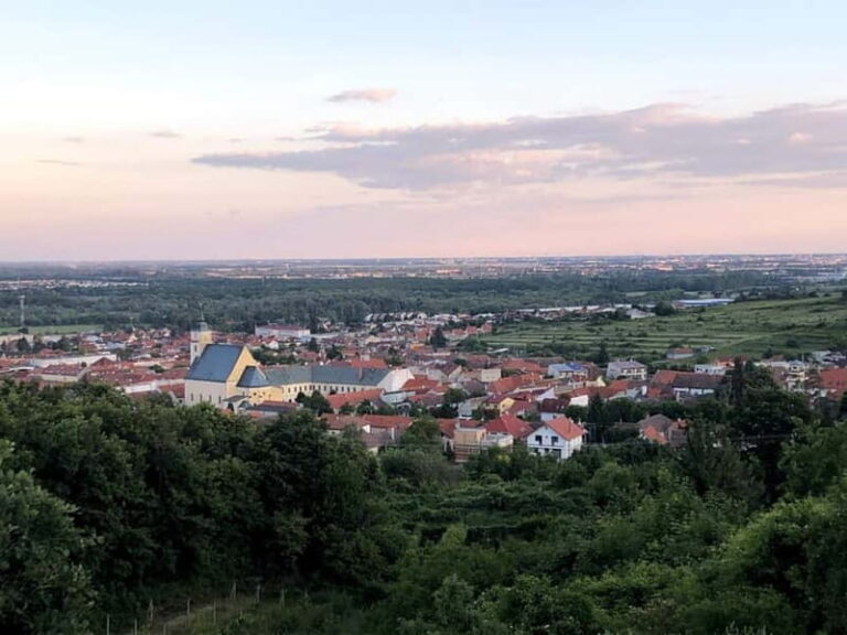 From Bratislava: Organic Wine Tasting in Svaty Jur - Who Will Appreciate This Tour Most?
