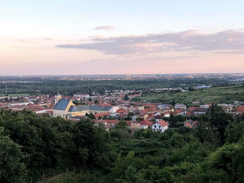 From Bratislava: Organic Wine Tasting in Svaty Jur - Who Will Appreciate This Tour Most?