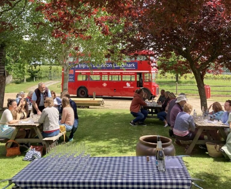 From Brighton: Sussex Wine Tour on a Vintage Bus with Lunch - The Value of This Tour