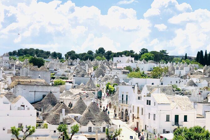 From Brindisi. Ostuni, Alberobello and Polignano a Mare Tour - What’s Included and What’s Not