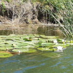 From Bucharest: 2-Day Danube Delta Wonders Small Group Tour - The Itinerary in Detail: What You Can Expect