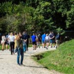 From Bucharest: Bear Sanctuary and Dracula Castle Day Tour - The Experience’s Value