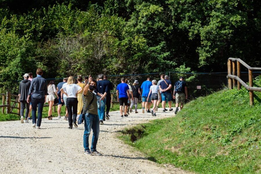 From Bucharest: Bear Sanctuary and Dracula Castle Day Tour - The Experience’s Value