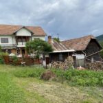 From Bucharest: Boutique Wine Tasting Private Day Trip - The Itinerary: A Closer Look
