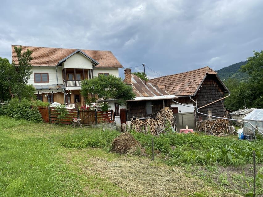 From Bucharest: Boutique Wine Tasting Private Day Trip - The Itinerary: A Closer Look