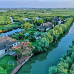 From Bucharest: Danube Delta Private Day Trip with Boat Tour - Transportation & Logistics