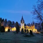 From Bucharest: Day Trip to Peles and Bran Castles with - Who Should Take This Tour?