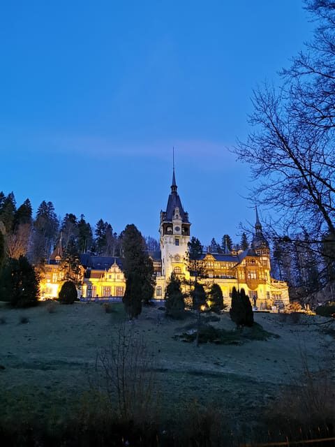 From Bucharest: Day Trip to Peles and Bran Castles with - Who Should Take This Tour?