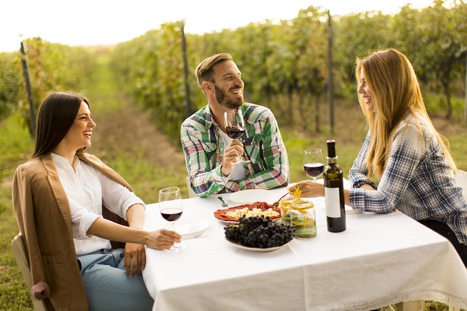 From Bucharest: Exclusive Wine Tasting Tour in Dealu Mare - Key Points