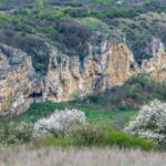 From Bucharest: Experience Bulgaria Small-Group Trip - What the Tour Means for You