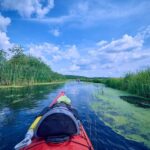 From Bucharest: Neajlov River Kayaking Adventure - What Makes This Tour Stand Out?