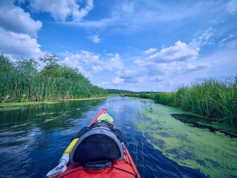 From Bucharest: Neajlov River Kayaking Adventure - What Makes This Tour Stand Out?