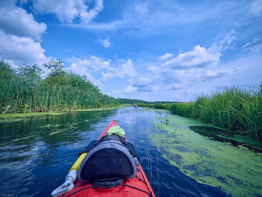 From Bucharest: Neajlov River Kayaking Adventure - What Makes This Tour Stand Out?