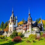 From Bucharest: Pele and Bran Castles Private Tour - Transportation and Comfort