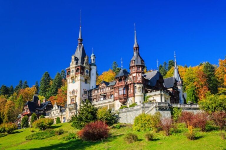 From Bucharest: Pele and Bran Castles Private Tour - Transportation and Comfort