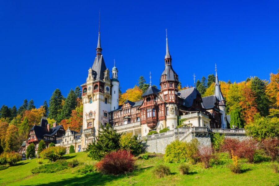 From Bucharest: Pele and Bran Castles Private Tour - Transportation and Comfort