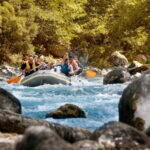 From Budva: Full-Day Tara River Rafting Trip With Lunch - What to Expect from the Tara River Rafting Tour
